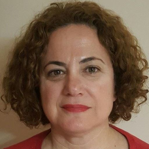 SCiDEV interview with Teuta Xhindi - Western Balkans European Social ...